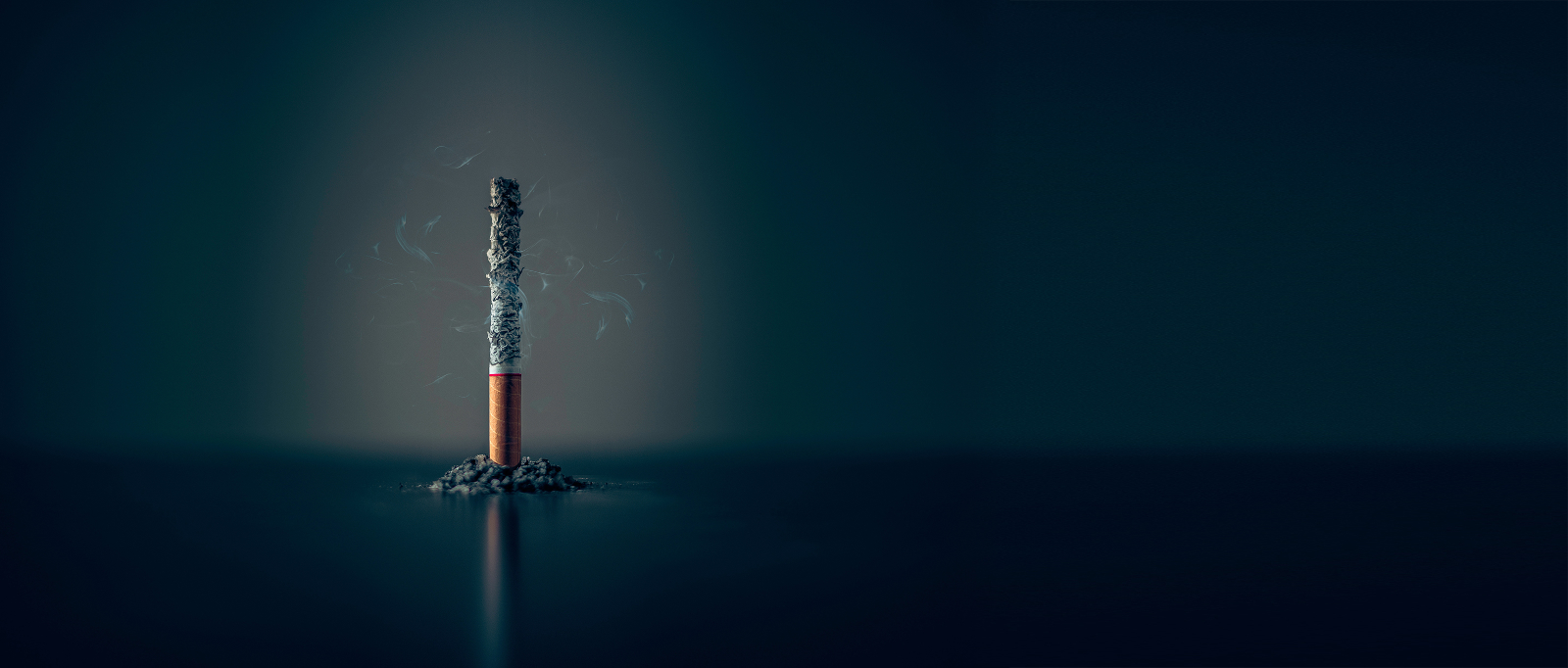 Welkom bij Fenix Rookstop